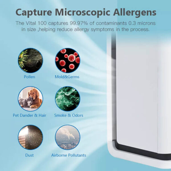 Albatross – Air Purifier